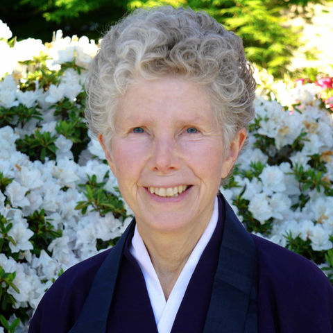 Mindful Medicine 1 - Introduction | Jan Chozen Bays, MD, Insight Timer